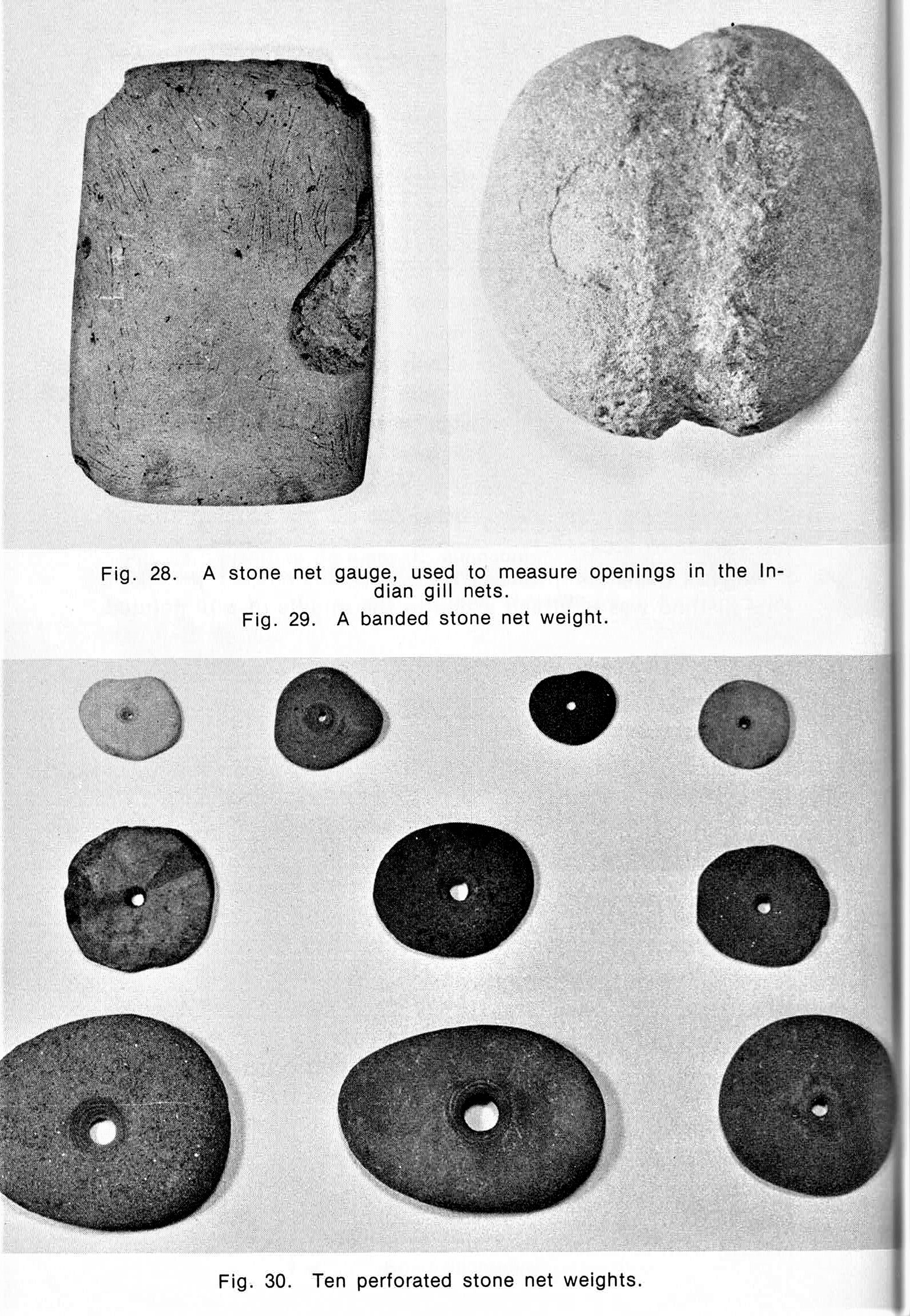 1999.051.1 Grooved Sinker Stone – North Lincoln County Historical Museum